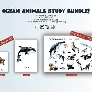Printable Ocean Animal Flashcards for Kids – Educational Study Bundle ...