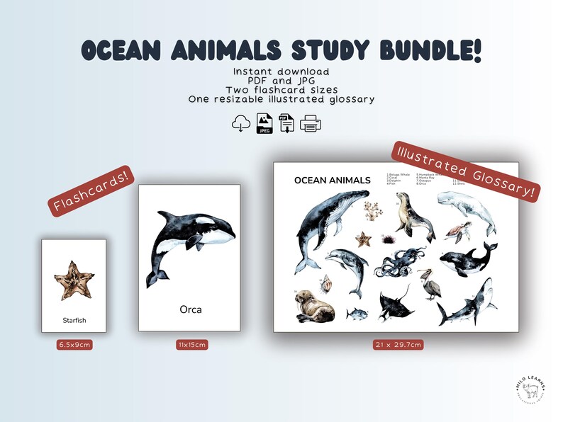 Printable Ocean Animal Flashcards for Kids – Educational Study Bundle ...