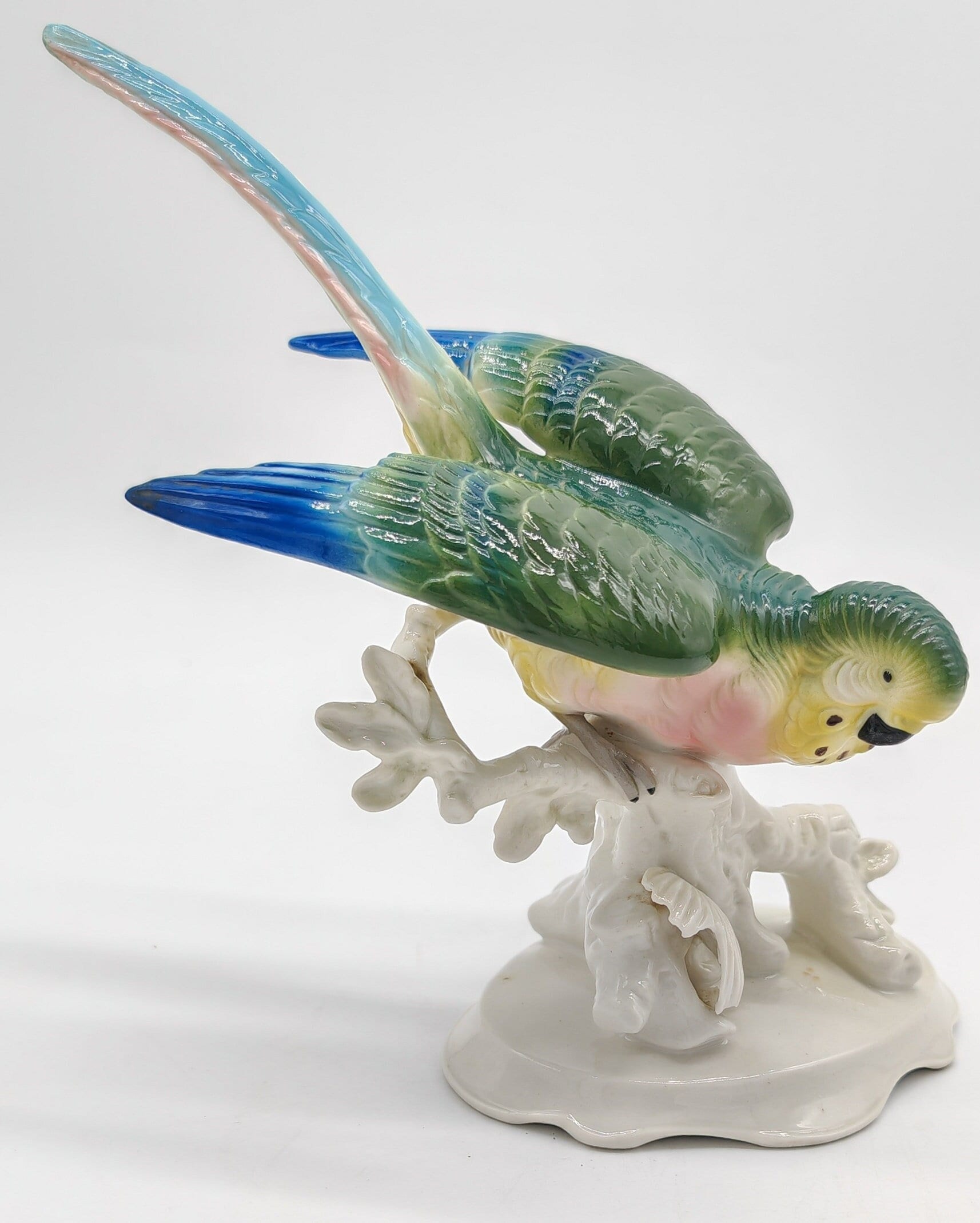Wavy Parakeet in Saxony Porcelain in the Style of Karl ENS - Etsy