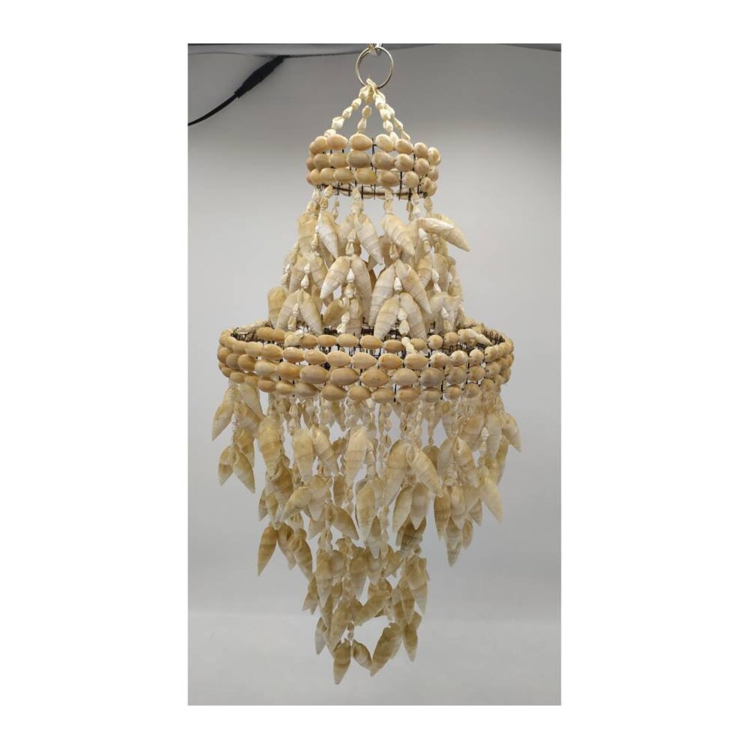 Superb Suspension Shells Vintage Cowries - Etsy