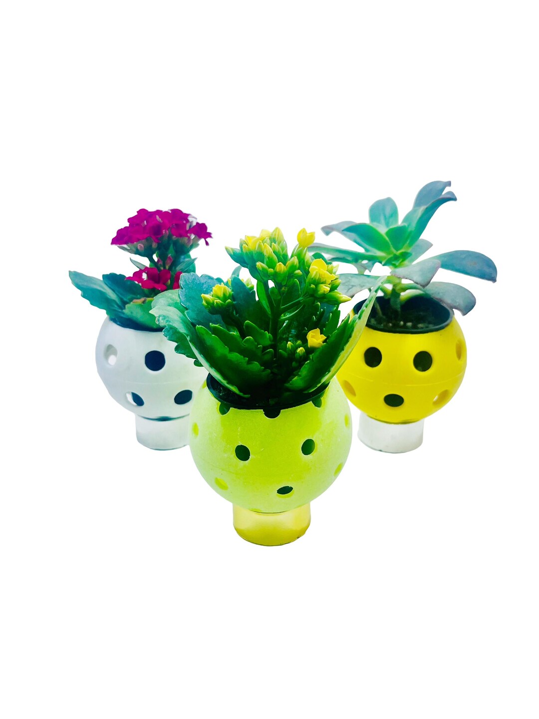 Repurposed Pickleball Planter: Fun Succulent Pot With Drainage - Etsy