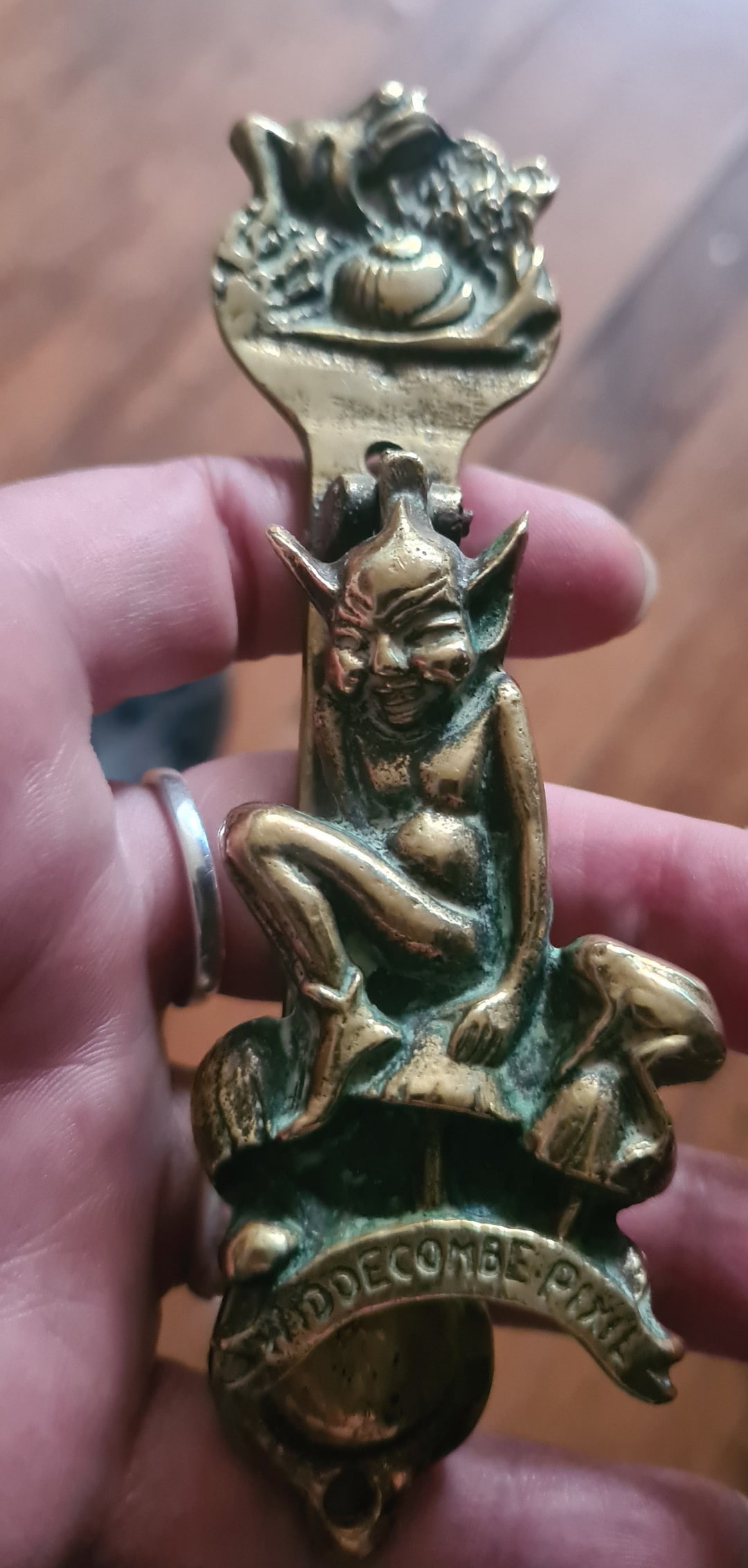 Antique Brass Widdecombe Door Knocker, Pixie Sat on A Toadstool, Brass ...