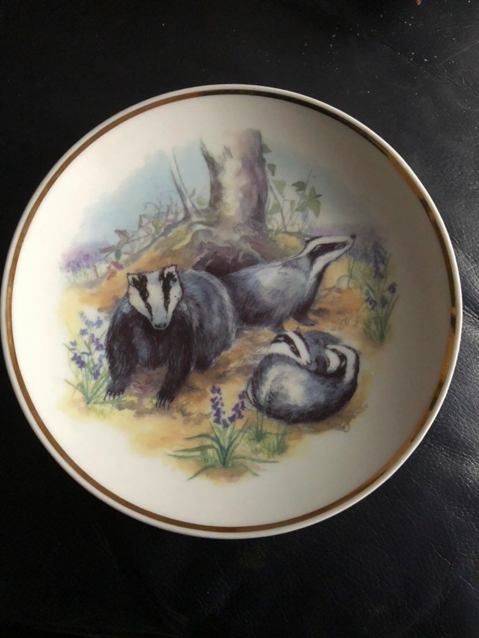 Vintage Collectors Plate Wildlife of Britain ‘badgers’ by Susan ...