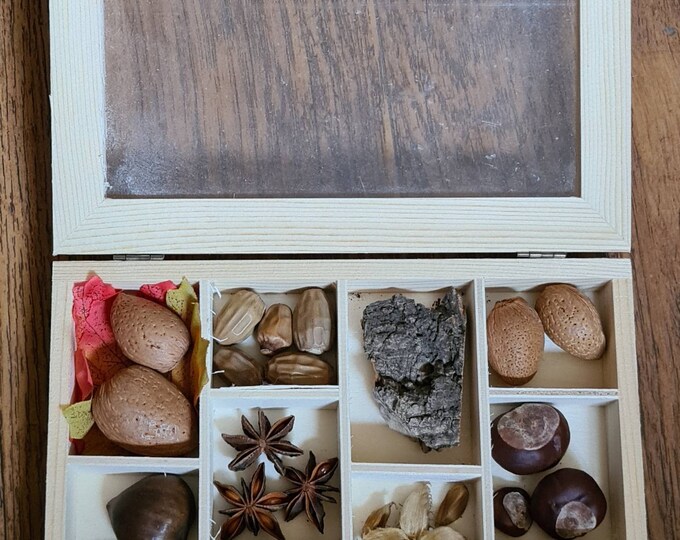 Set of Sorting Trays, Montessori Trays Tinker Trays Set of Wooden Trays ...