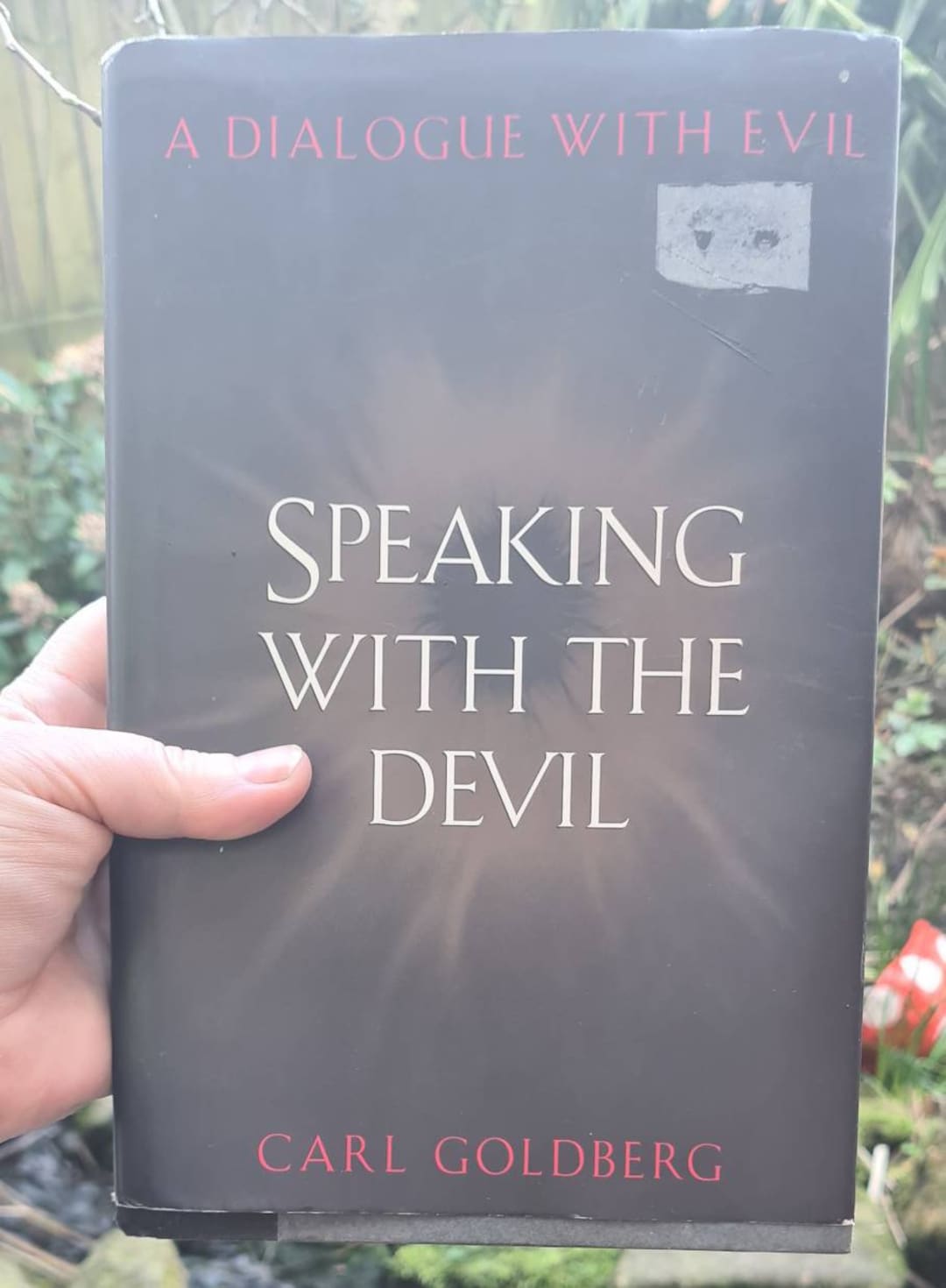 Speaking With the Devil Hard Back First Edition Carl Goldberg Occult ...