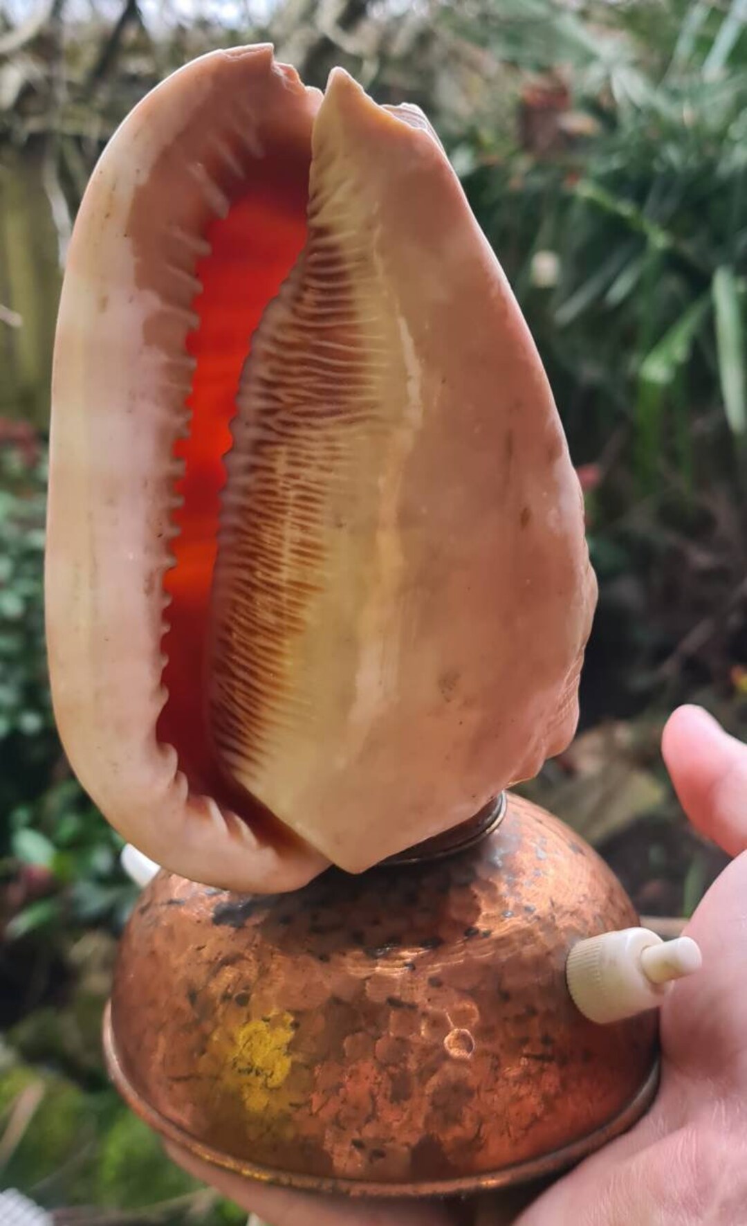 Vintage Sea Shell Table Copper Lamp, Home Decor, Witchcraft, Pagan ...