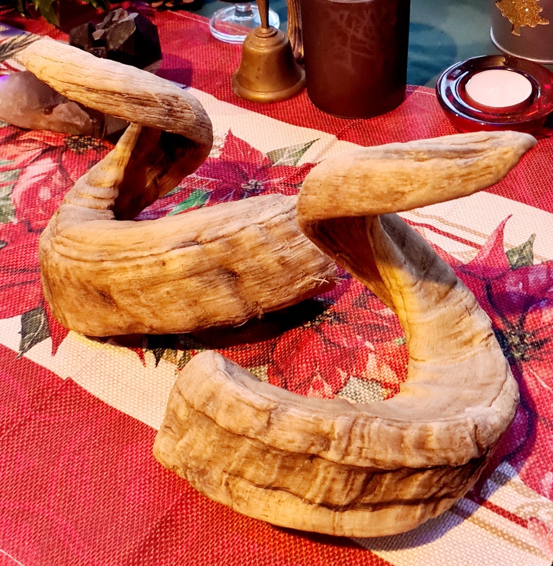 Real Rams Curly Horns, Altar Piece, Witchcraft, Pagan, Witch, Hoodoo ...