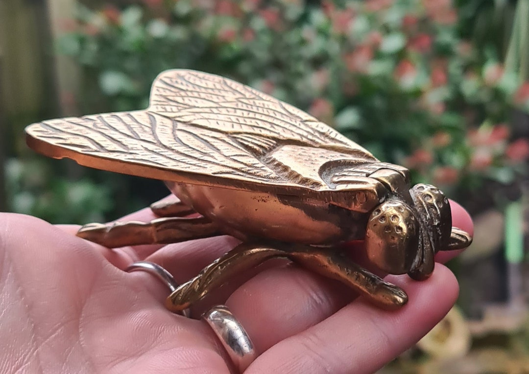 Antique Brass Fly Trinket Box, Vintage Brass Insect Vesta, Altar Match ...