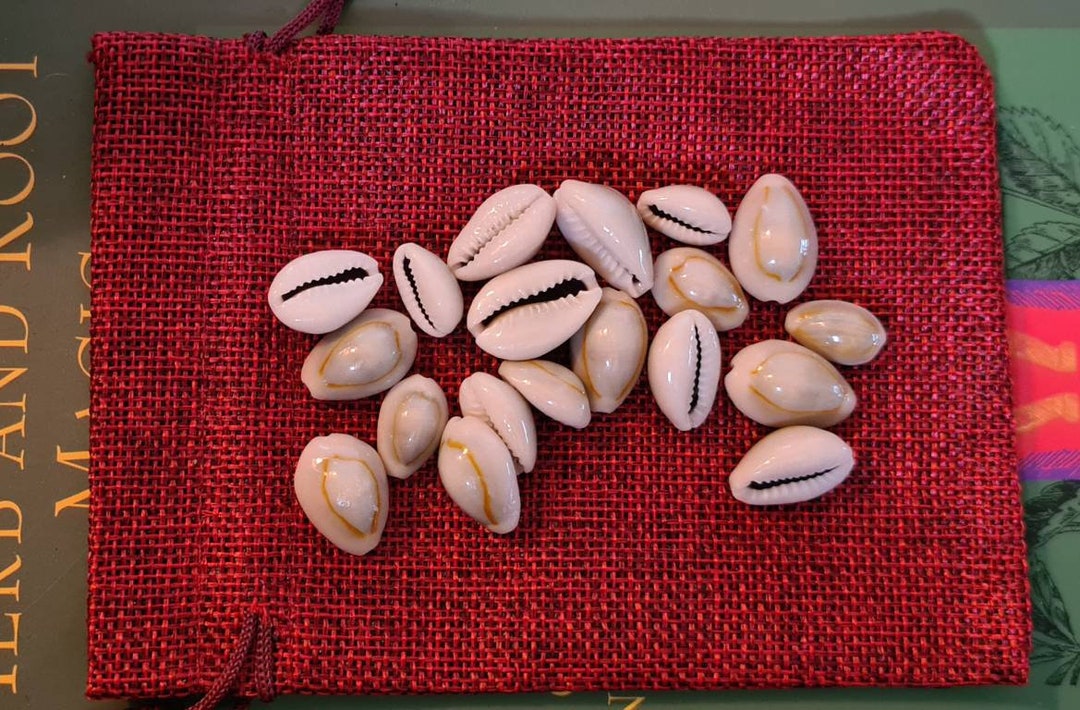 African Cowrie Divination Set 21 Shells & Woven Pouch, Witchcraft ...