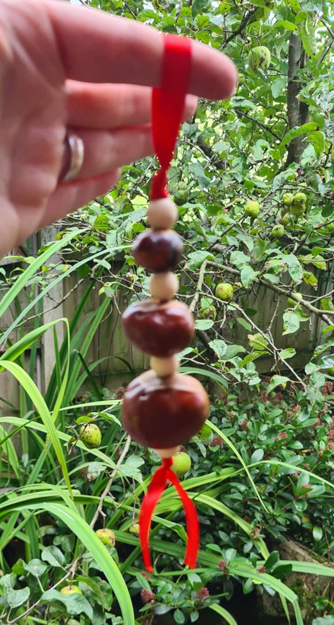 Prosperity Charm Witches Horse Chestnut Charm, Buckeye Lucky Charm ...