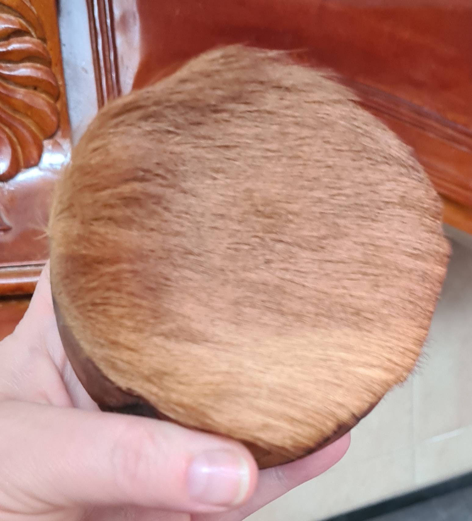 Traditional African Drum With Rattle Real Animal Skin Ritual - Etsy UK