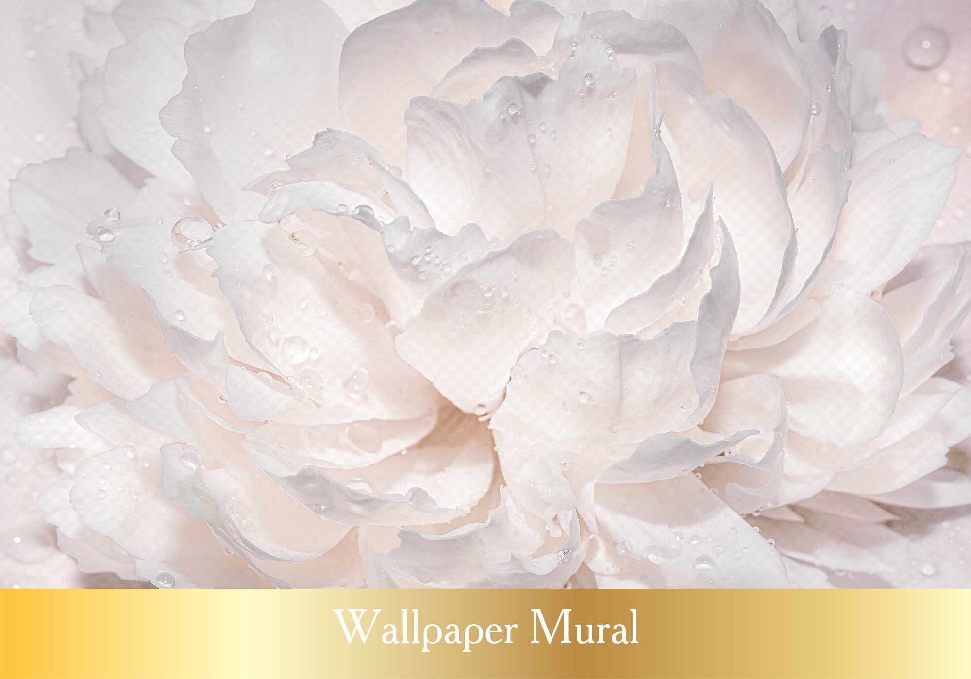 Large Peony Flower Wall Mural Nursery Cream Pastel Peonies - Etsy
