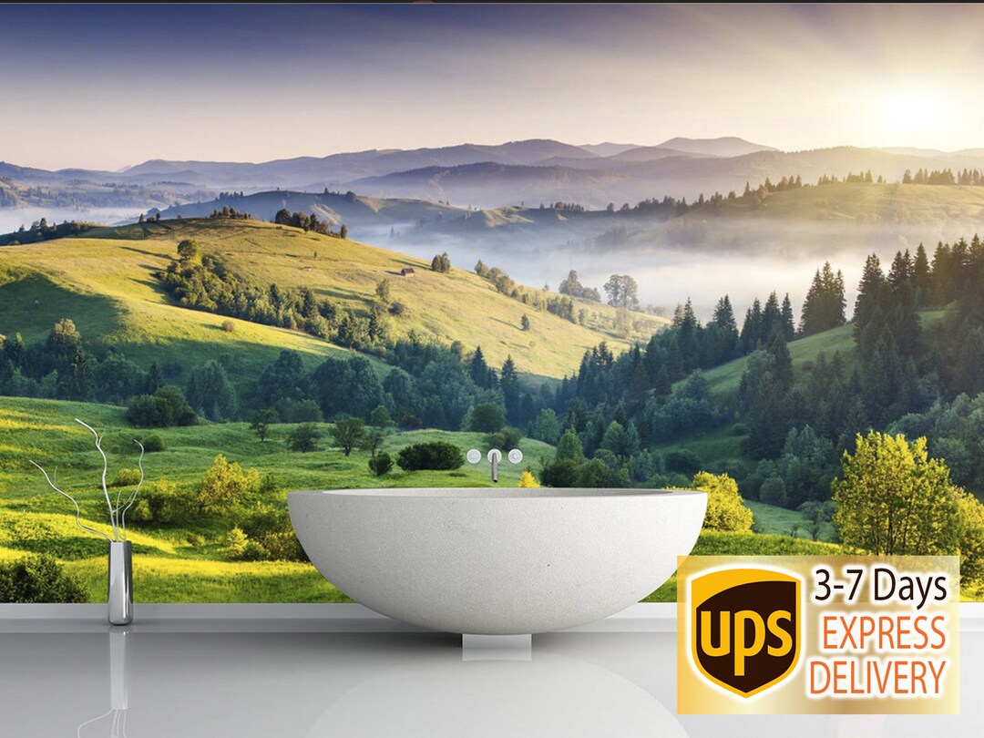 Landscape Wallpaper Blue. Field Flower Wallpaper Sun Shine. - Etsy