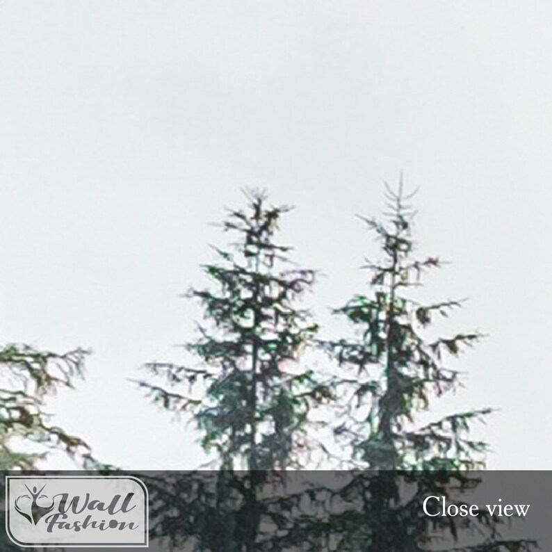 Forest Outlander Wallpaper. Landscape Mountain Wall Mural. - Etsy