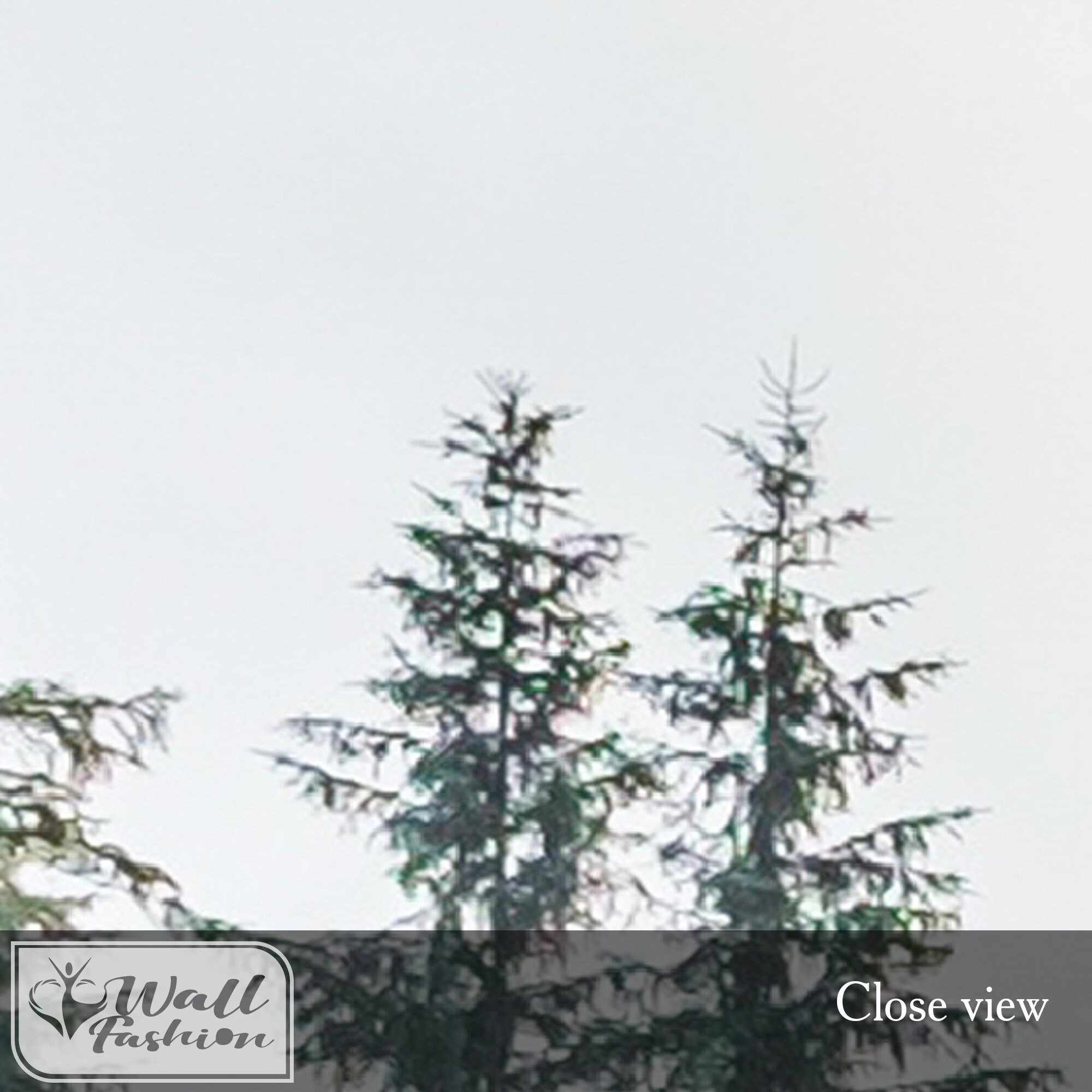 Forest Outlander Wallpaper. Landscape Mountain Wall Mural. - Etsy