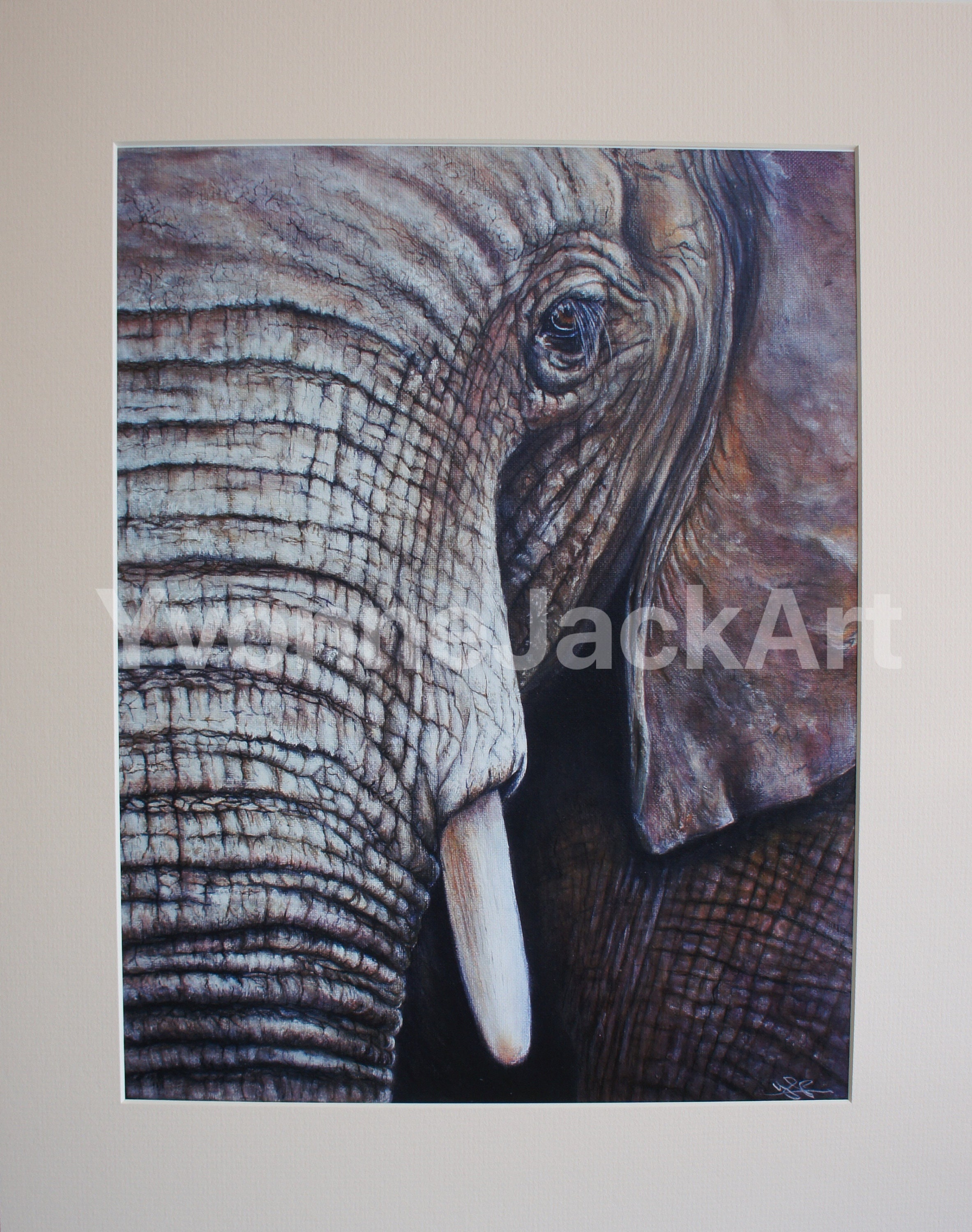 Fine Art Print of Original Elephant Painting - Etsy