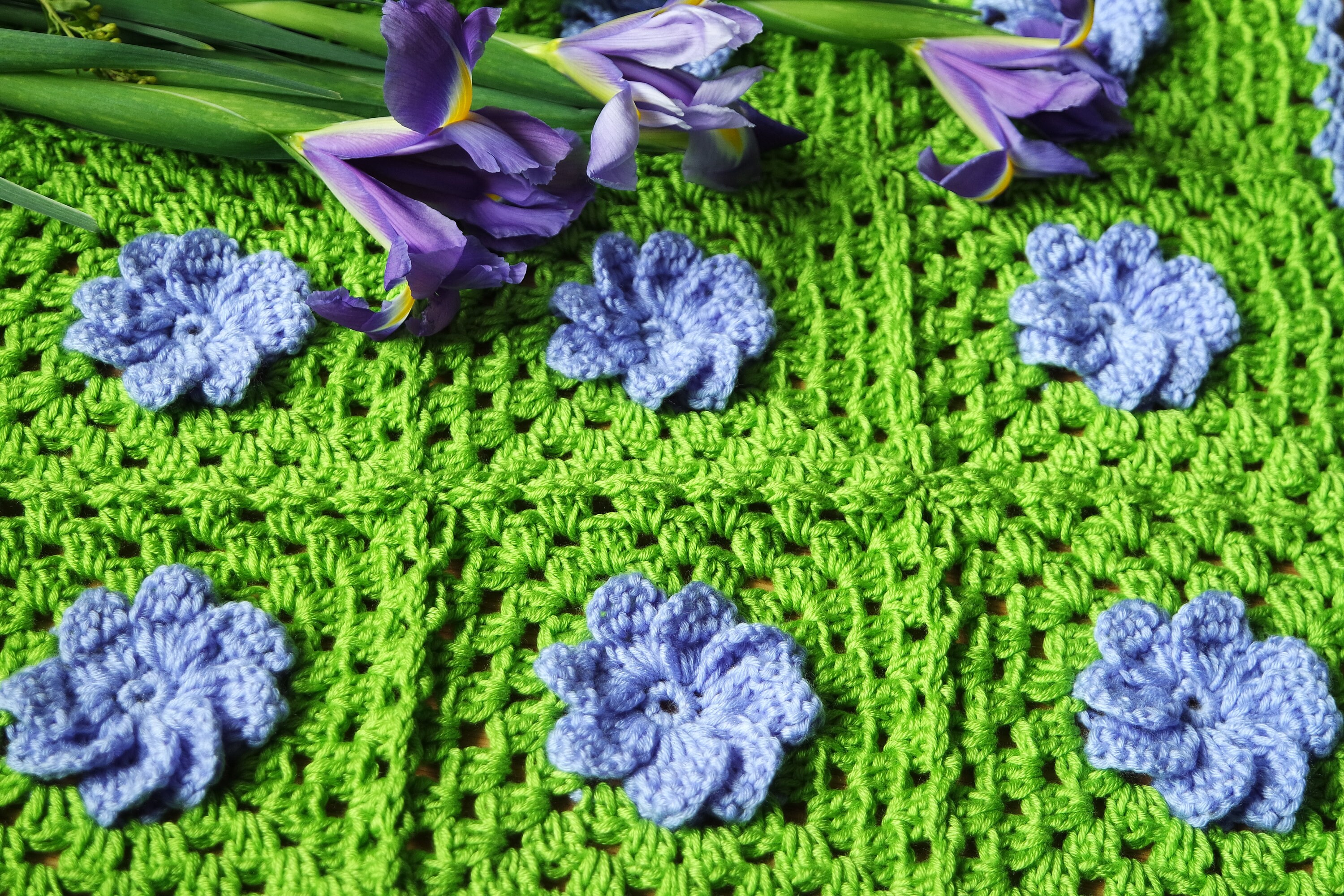Crochet Gerber Daisy Granny Square Blanket Afghan Rug Pattern | Etsy