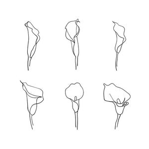 Callas Flowers Svg, Flower, Floral Svg, Callas Lilies Clipart, Calla ...