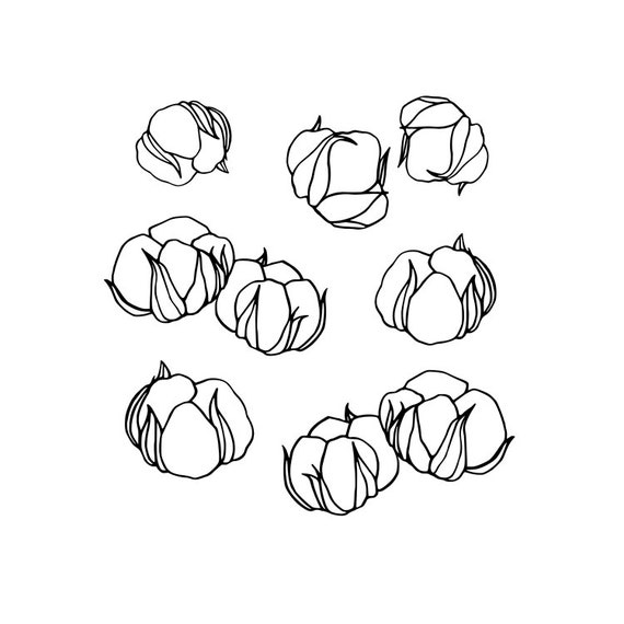 Cotton Svg Cotton Clipart Cotton Plant Svg Cut File Cotton | Etsy