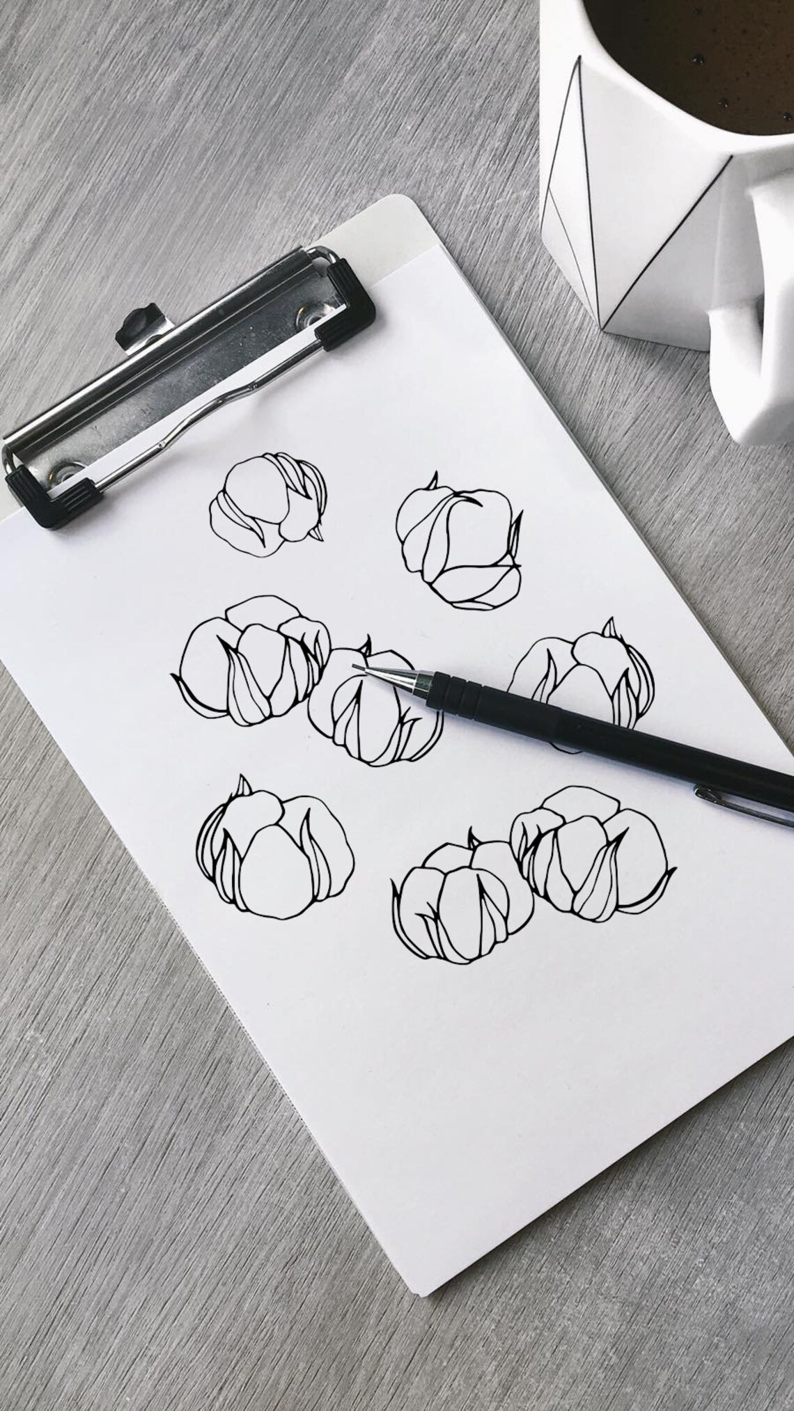 Cotton Svg Cotton Clipart Cotton Plant Svg Cut File Cotton - Etsy