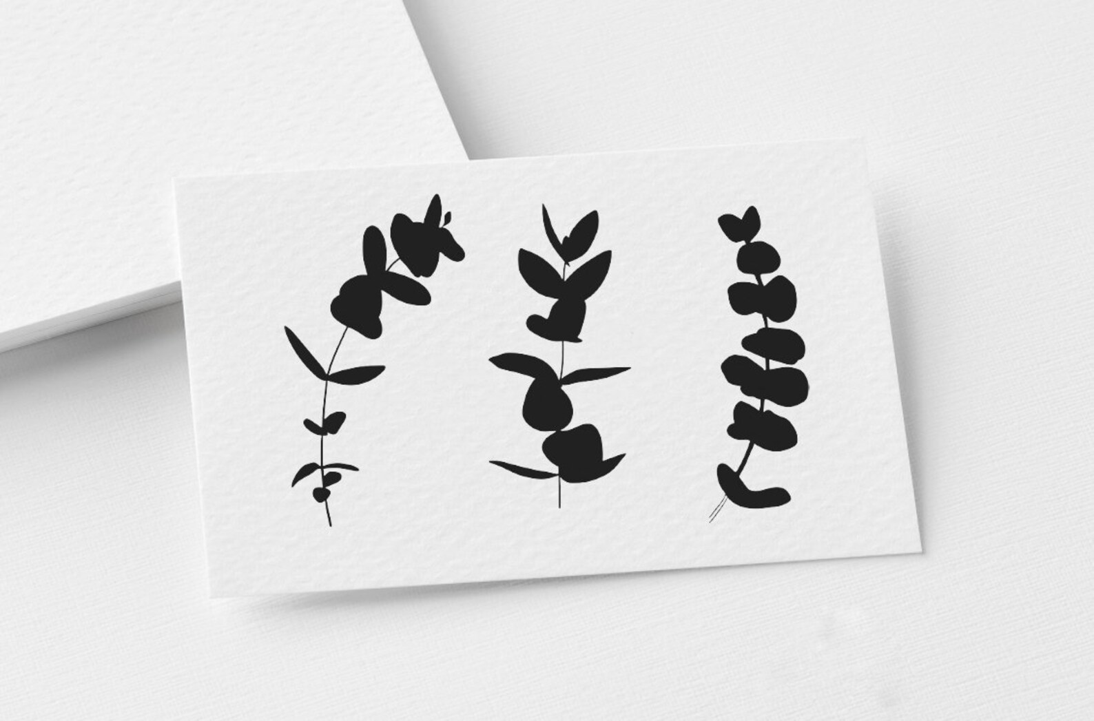 Eucalyptus Svg Eucalyptus Bundle Eucalyptus SVG Clipart - Etsy