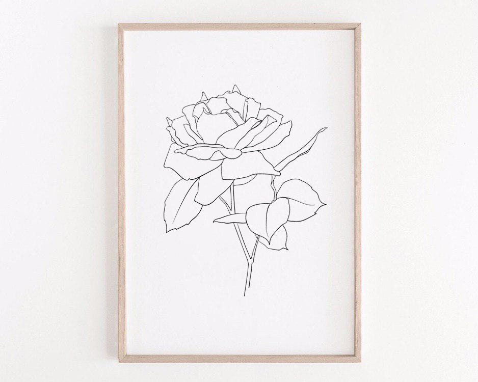 Rose Svg Spring Flowers Svg Roses Svg One Line Drawing Rose - Etsy UK