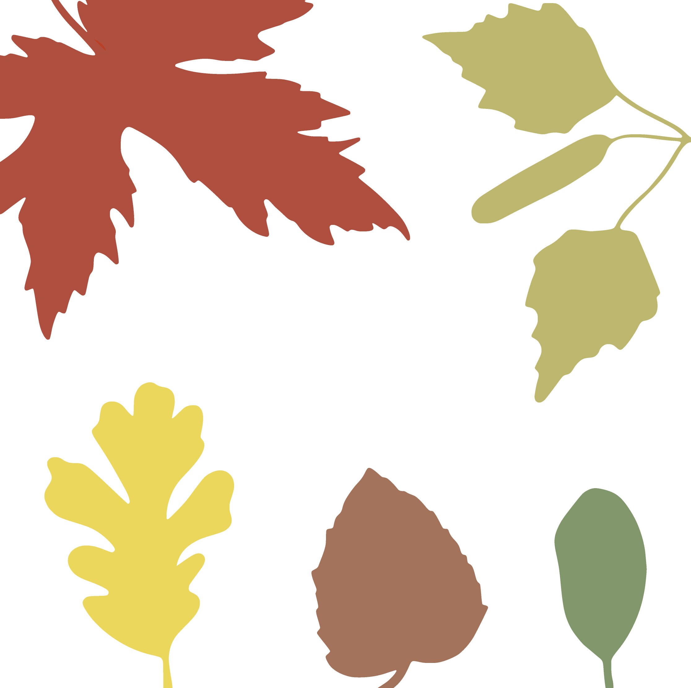 Leaf Svg File Fall Leaves Svg Fall Leaf Svg Autumn Svg - Etsy UK