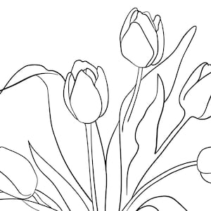 Tulip Line Drawing, Tulip Flower Line Art Digital Print, Flower Line ...