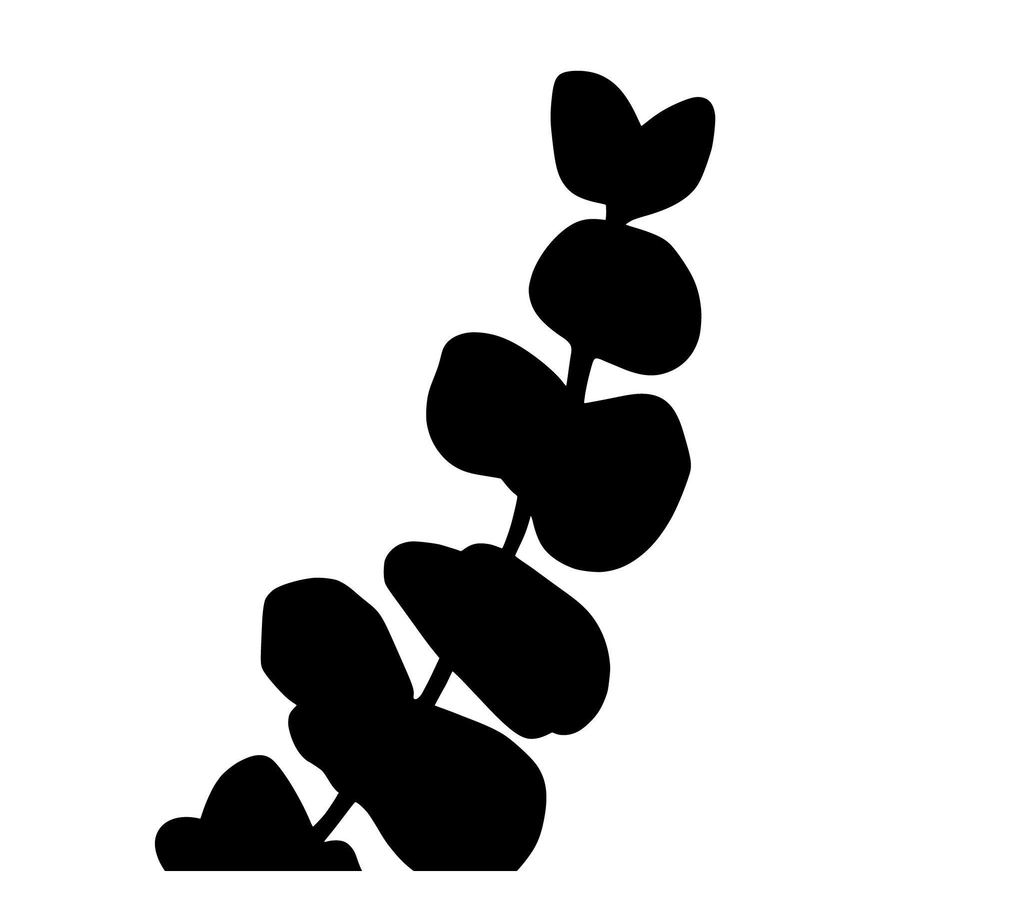 Eucalyptus Svg Eucalyptus Bundle Eucalyptus SVG Clipart | Etsy