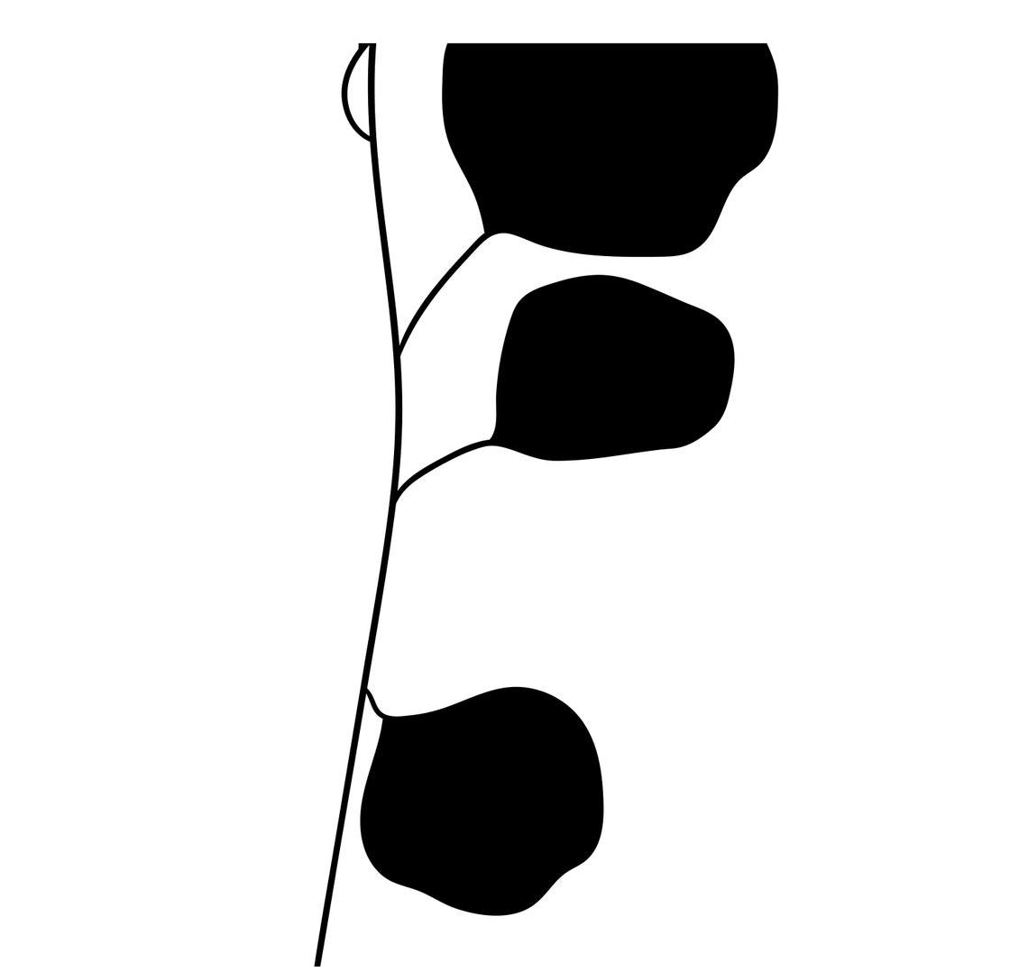 Eucalyptus Svg Eucalyptus Bundle Eucalyptus SVG Clipart - Etsy