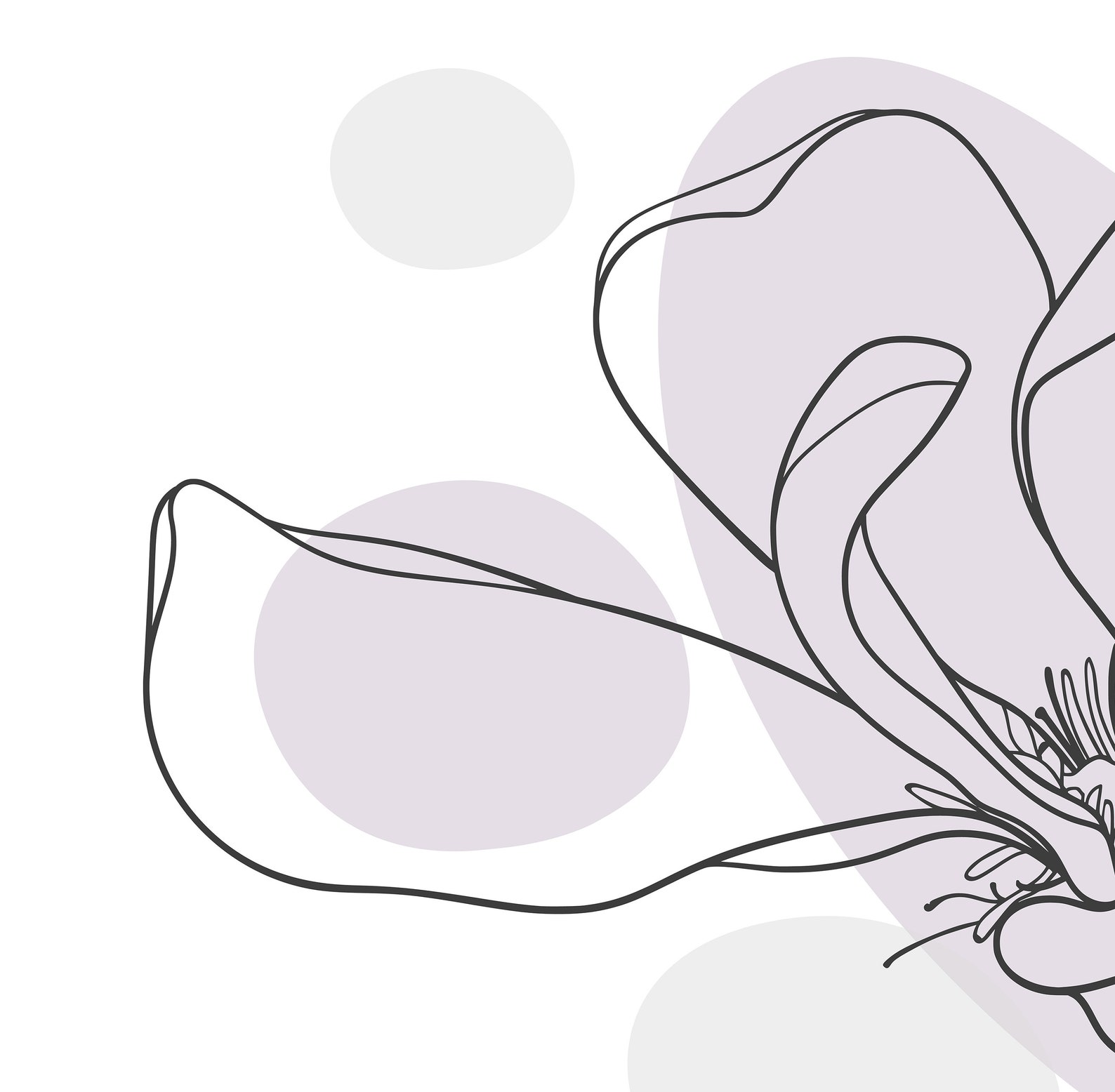 Magnolia Svg Flower Svg Line Drawing Svg Wedding Svg - Etsy