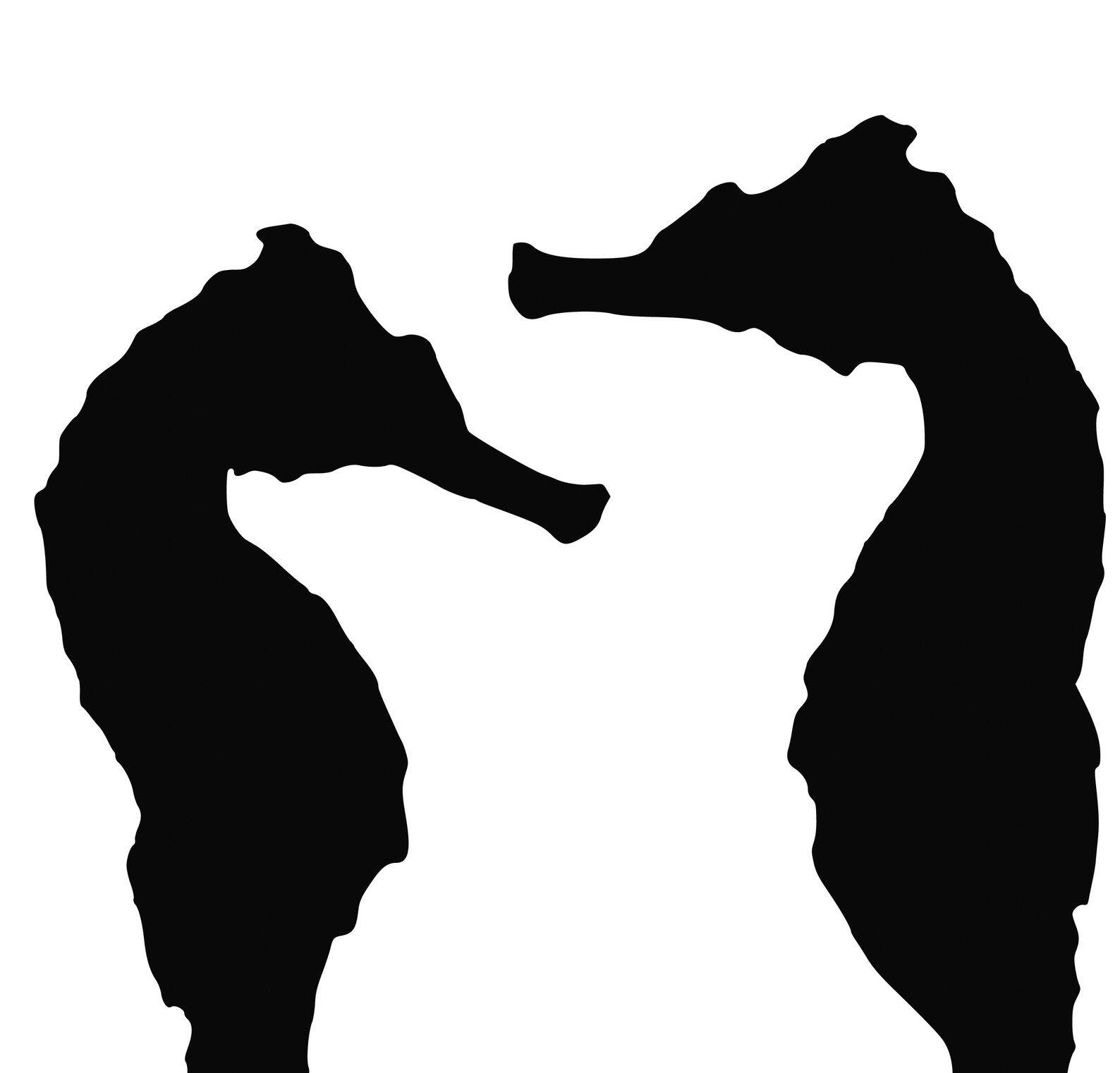 Zeepaardje svg Oceaan svg Vis svg Zee dier svg Oceaan - Etsy België