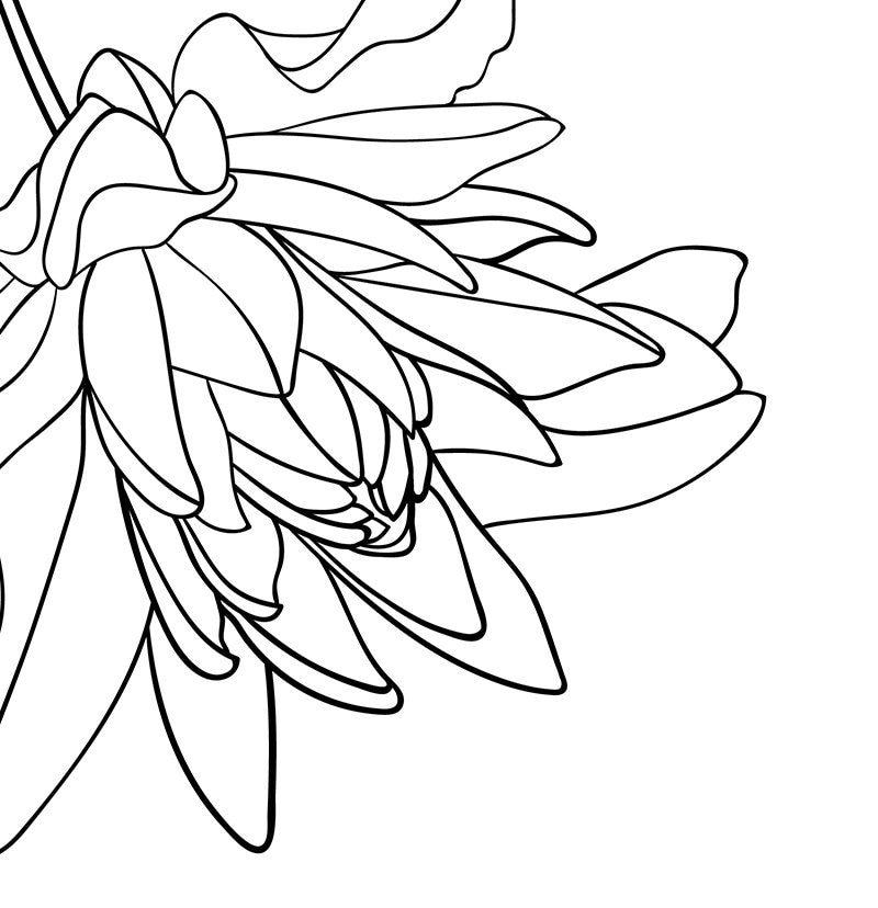 Flower Line Art Contour Wall Art Contour Print Contour Art - Etsy
