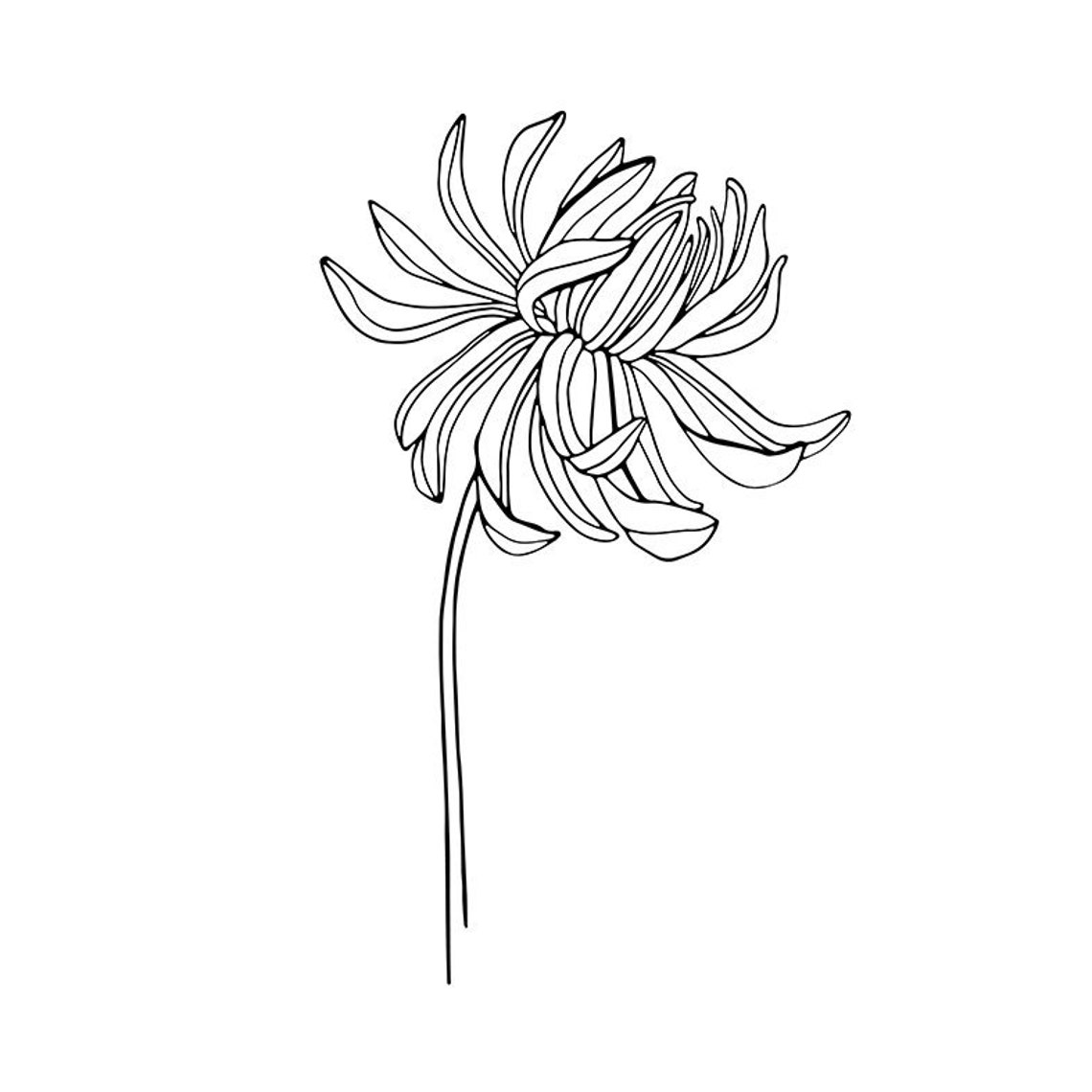 Svg Files for Cricut Flowers Flowers SVG Files Flowers Line - Etsy