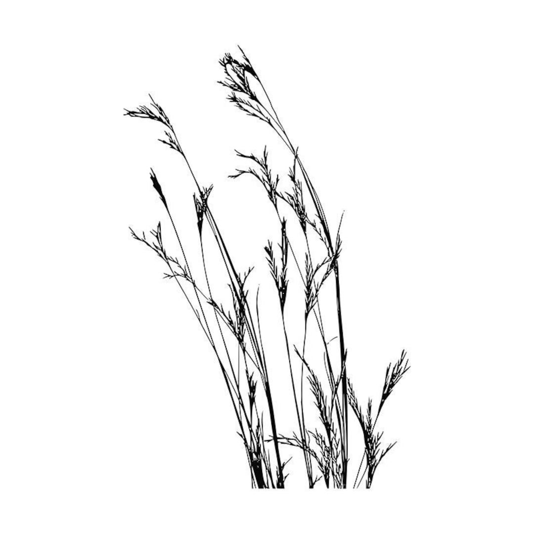 Black And White Grass Svg Dried Flowers And Herbs Dried Flowers Pampas Grass Grass Wall Decor