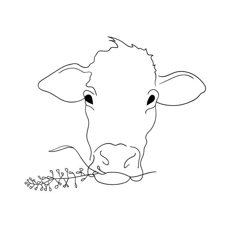 Easy Cow Head Sketch