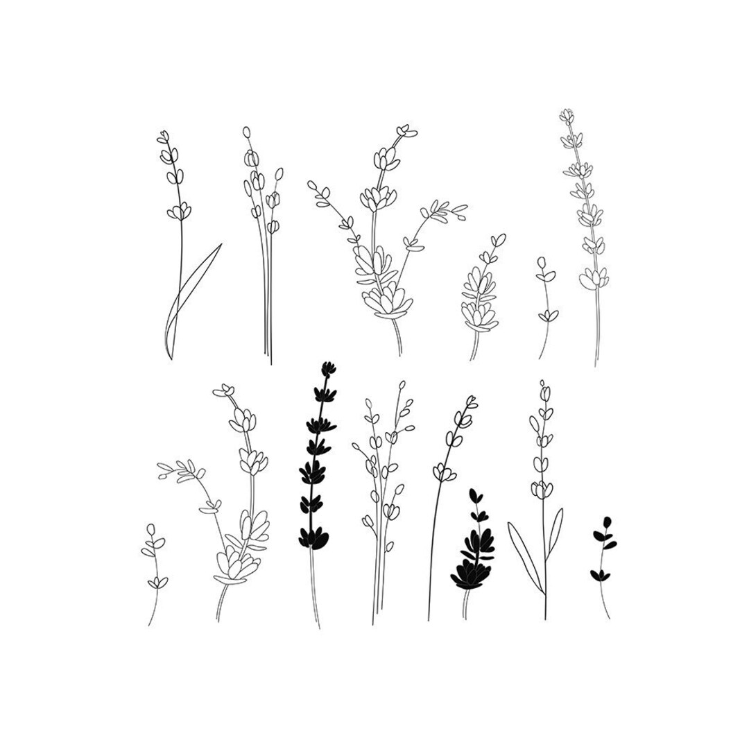 Lavender Svg, Lavender Svg File, Lavender Cut File, Lavender Line ...