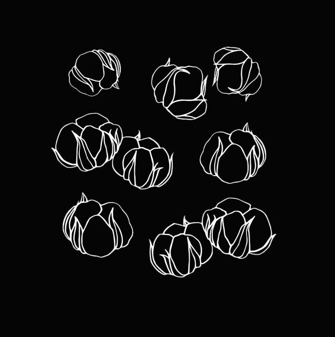 Cotton Clipart, Cotton Sticker, Cotton Wedding Invitations, Cotton ...