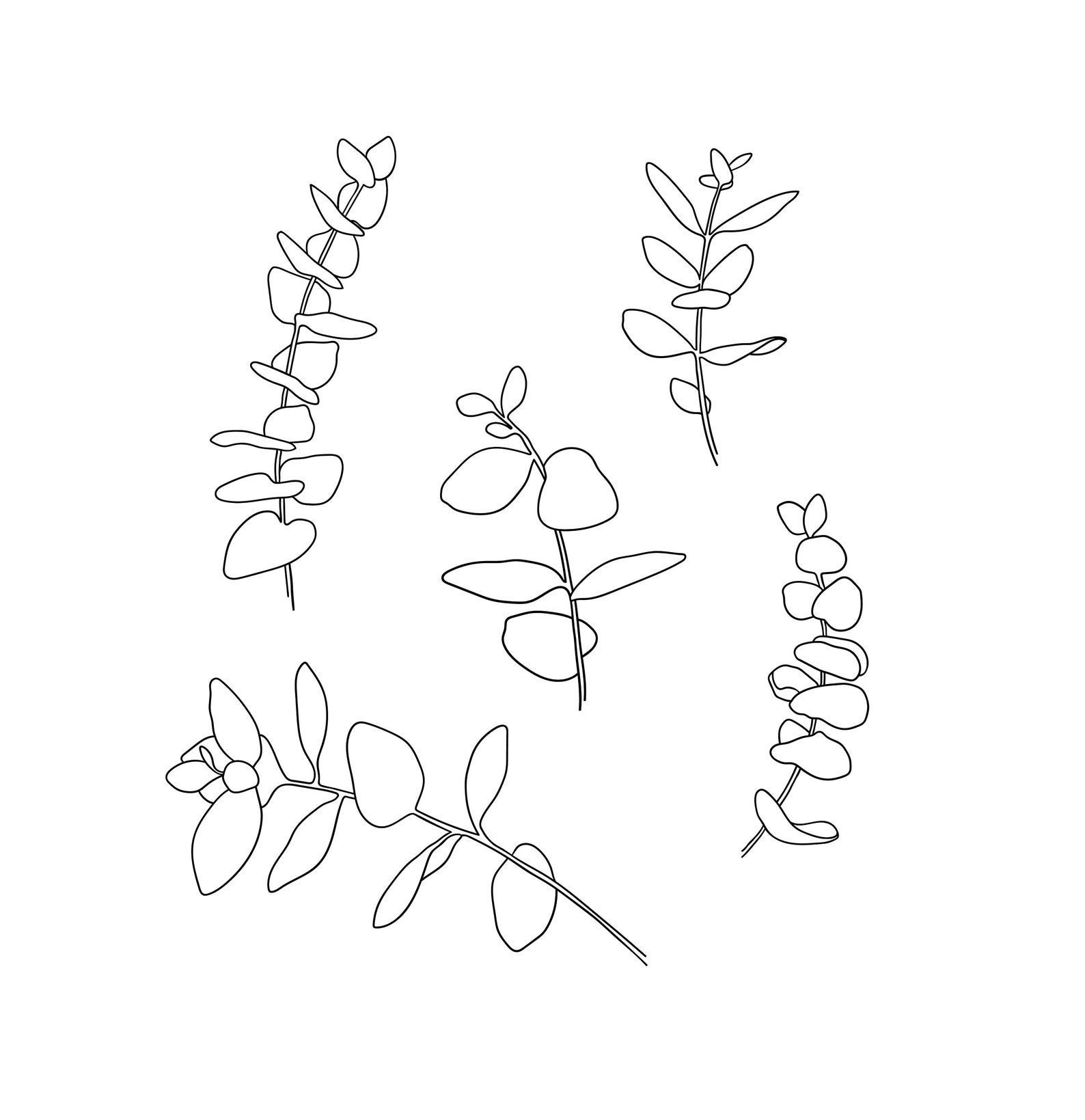 Eucalyptus Svg Eucalyptus Bundle Eucalyptus SVG Clipart - Etsy