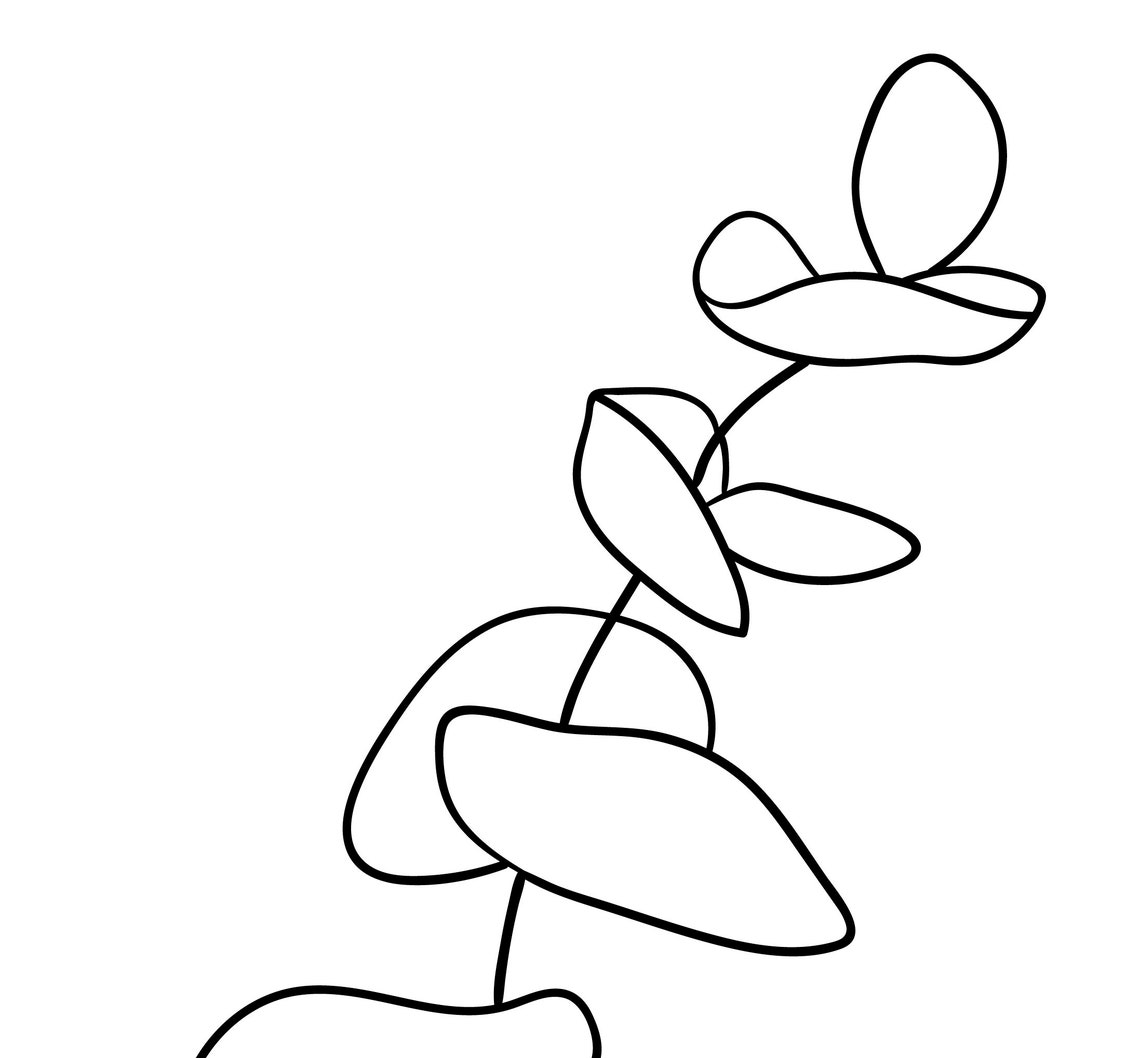 Eucalyptus Svg Eucalyptus Bundle Leaves Svg Eucalyptus Clip - Etsy