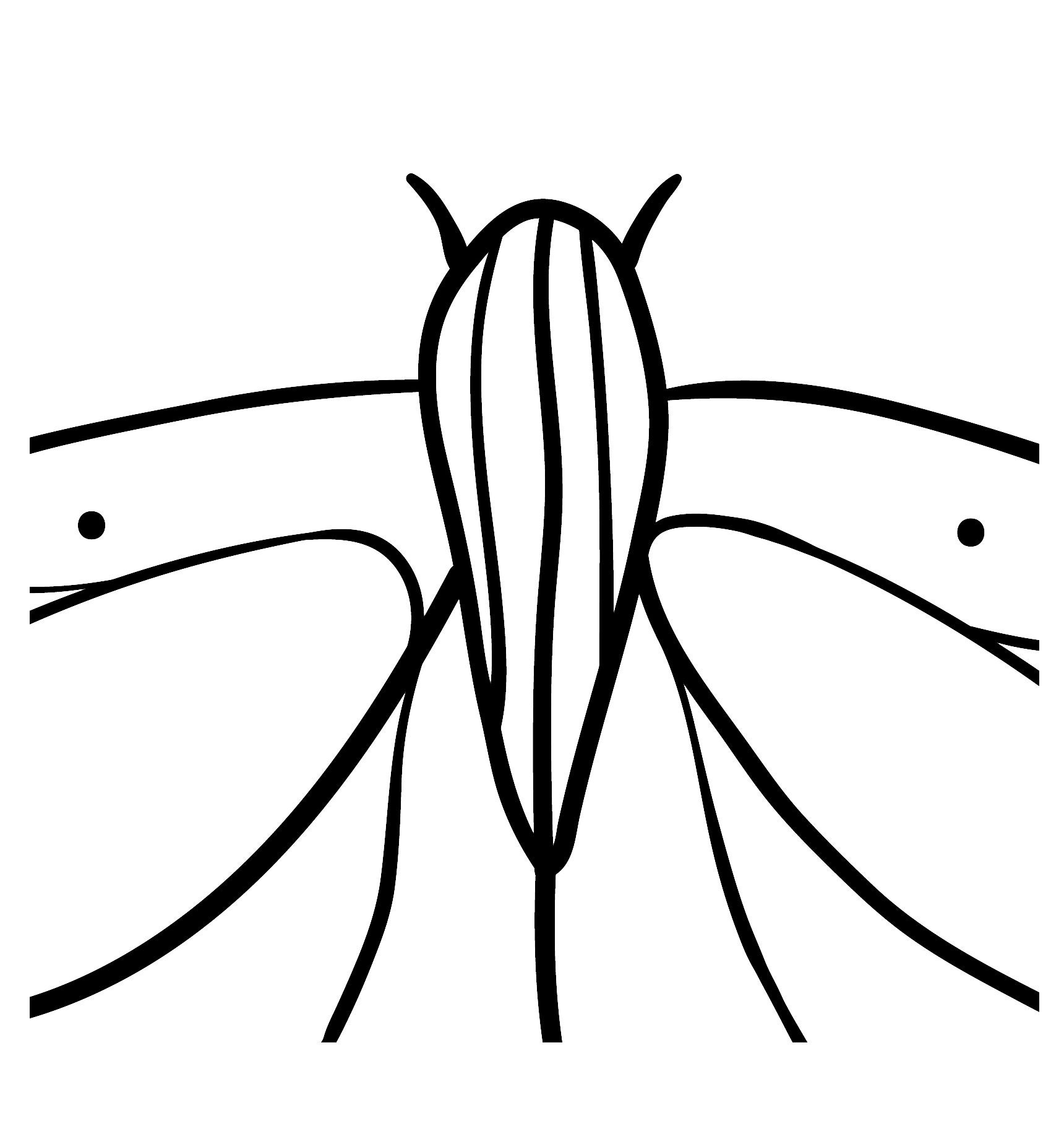 Moth Svg Butterfly Svg Bundle Celestial Moth Svg Boho Png - Etsy