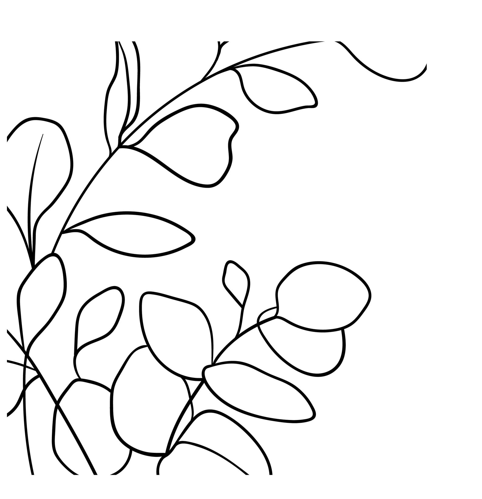 Floral Wreath Svg Leaf Border Svgwreath Svg Leaves Svg - Etsy