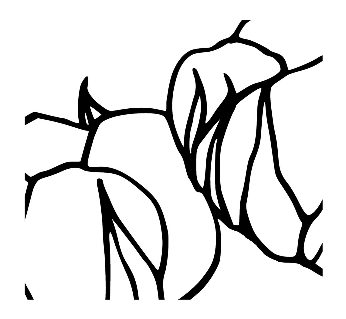 Cotton Svg Cotton Clipart Cotton Plant Svg Cut File Cotton - Etsy