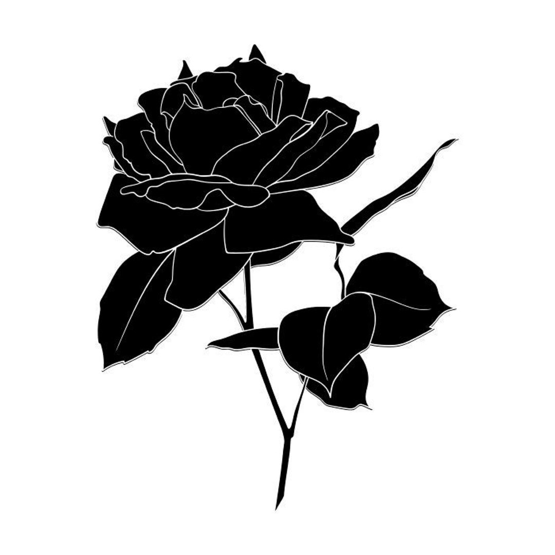Rose Svg, Peony Svg, Flower Svg, Rose T Shirt Design, Botanical Svg ...