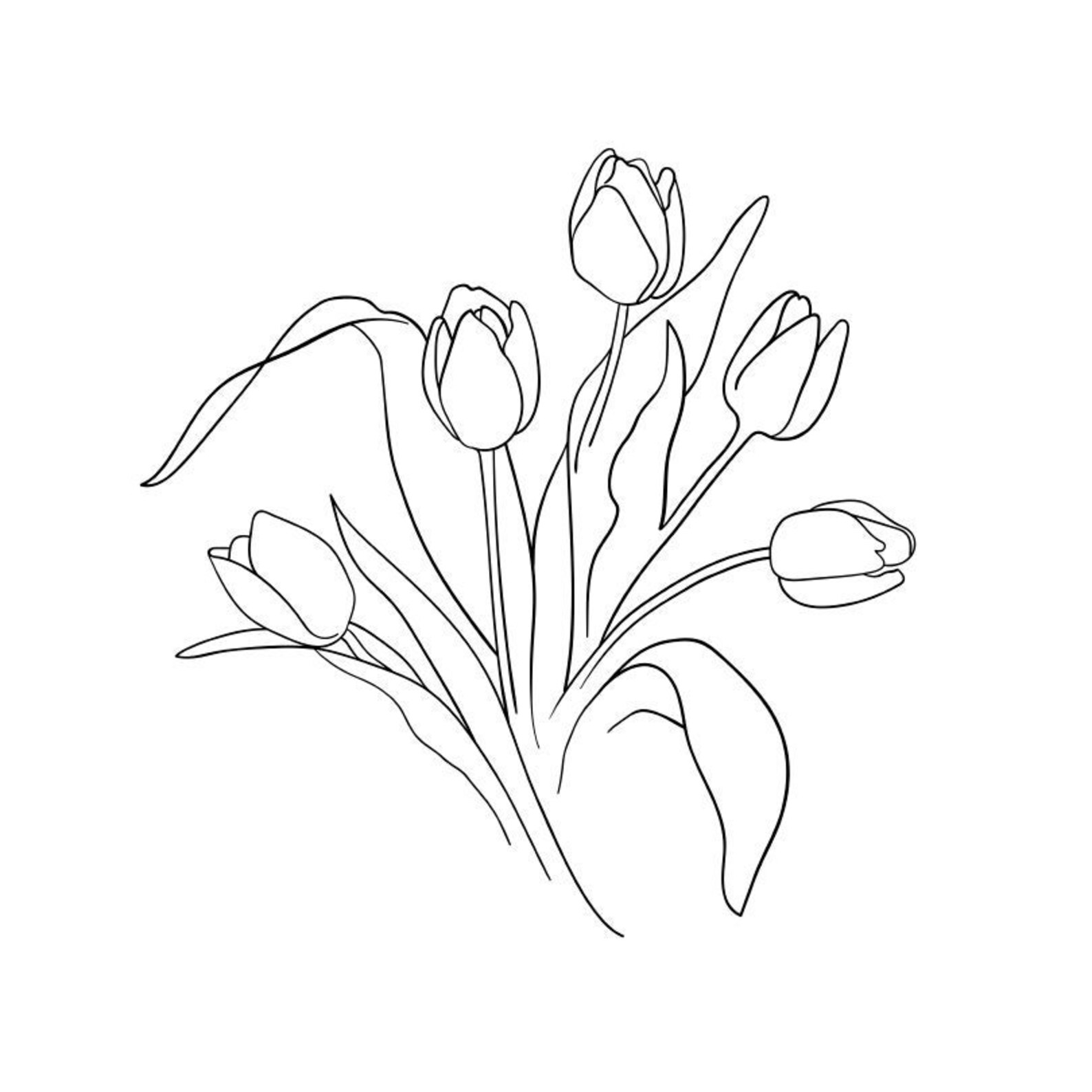 Tulip Line Drawing, Tulip Flower Line Art Digital Print, Flower Line ...