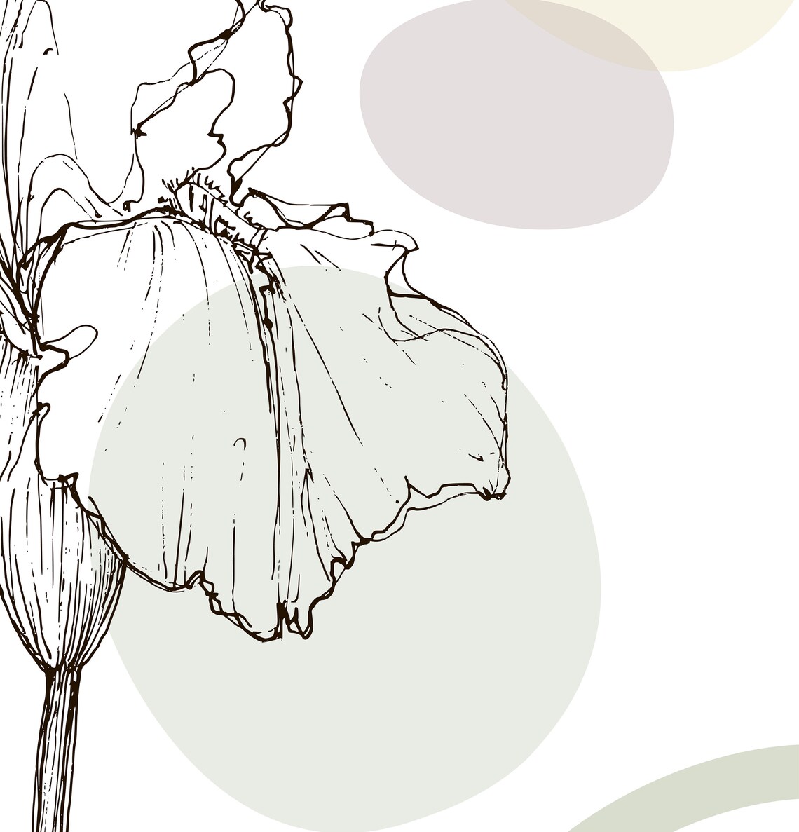 Iris Flower Eps Spring Flowers Svg Iris Line Drawing With - Etsy