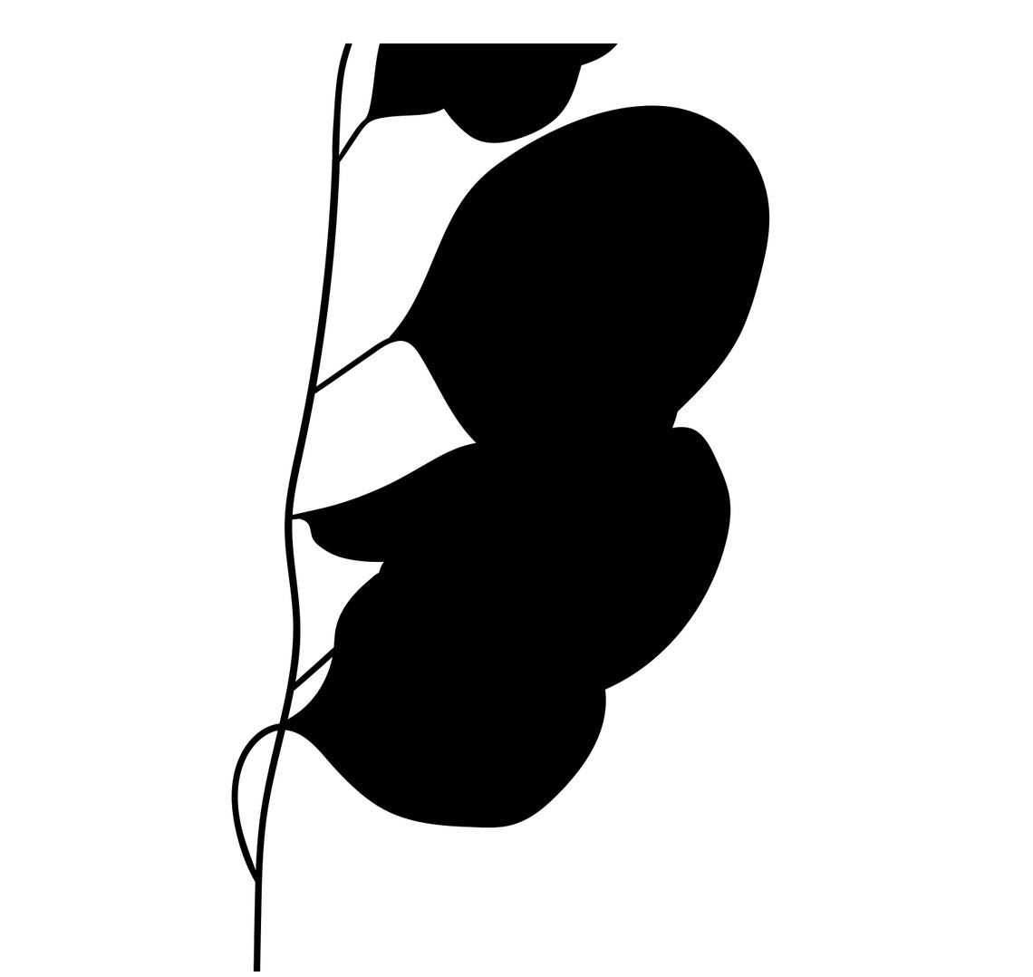 Eucalyptus Svg Eucalyptus Bundle Eucalyptus SVG Clipart - Etsy