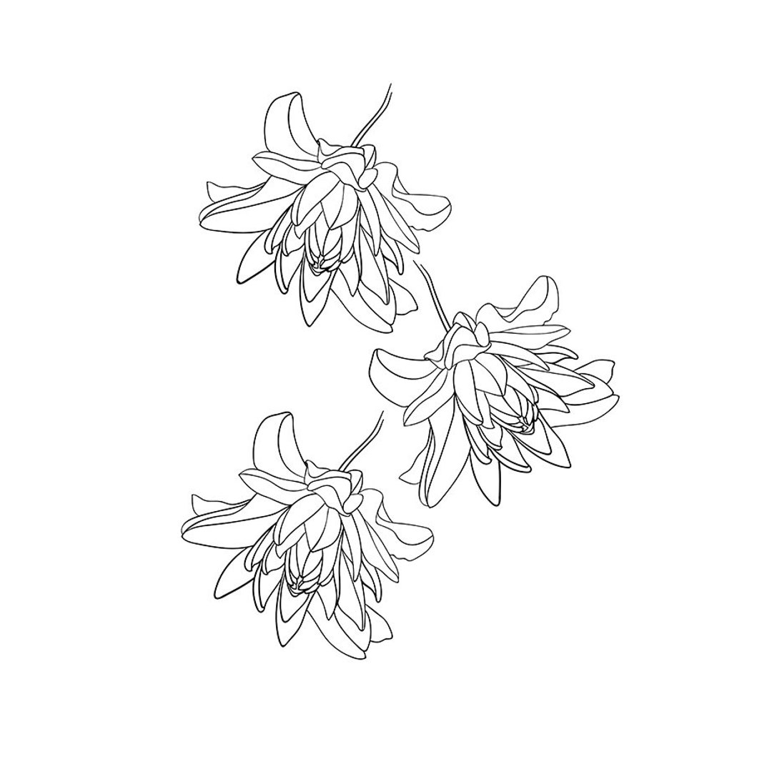 Flower Line Art, Contour Wall Art, Contour Print, Contour Art, One Line ...