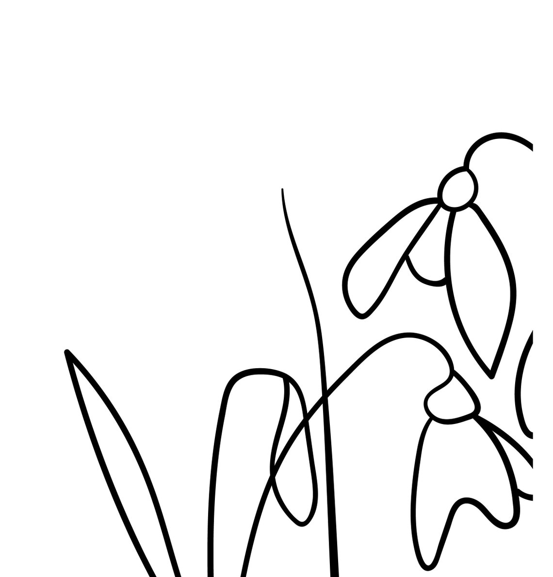 Snowdrop Flower Svg Field Flowers Svg Floral Svg Snowdrop - Etsy