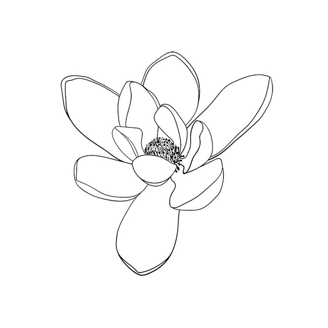 Magnolia SVG, Magnolia Flower Svg, Magnolia Line Art Svg - Etsy